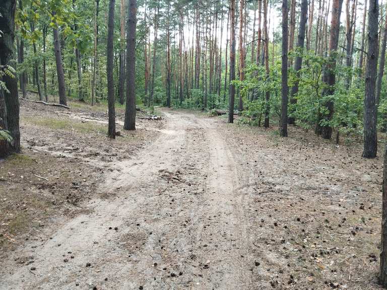 Technische Abfahrt und Auffahrt (zwei Varianten): Mountainbike-Touren ...