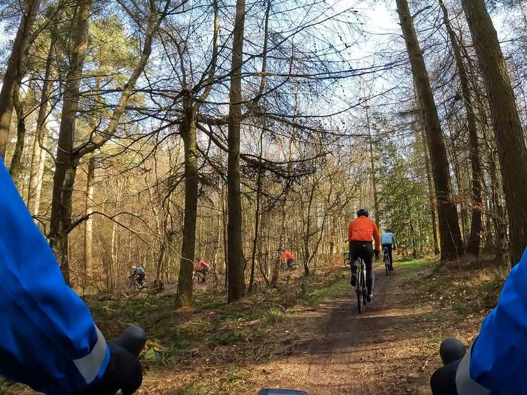 Lionthorn Woods - Mountain Bike Trails & Tracks | Komoot