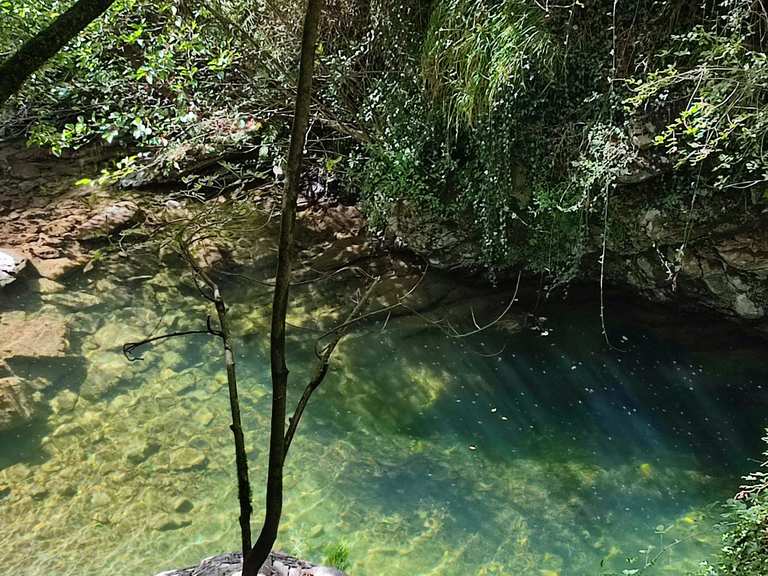 Pure Lake Routes for Walking and Hiking | Komoot