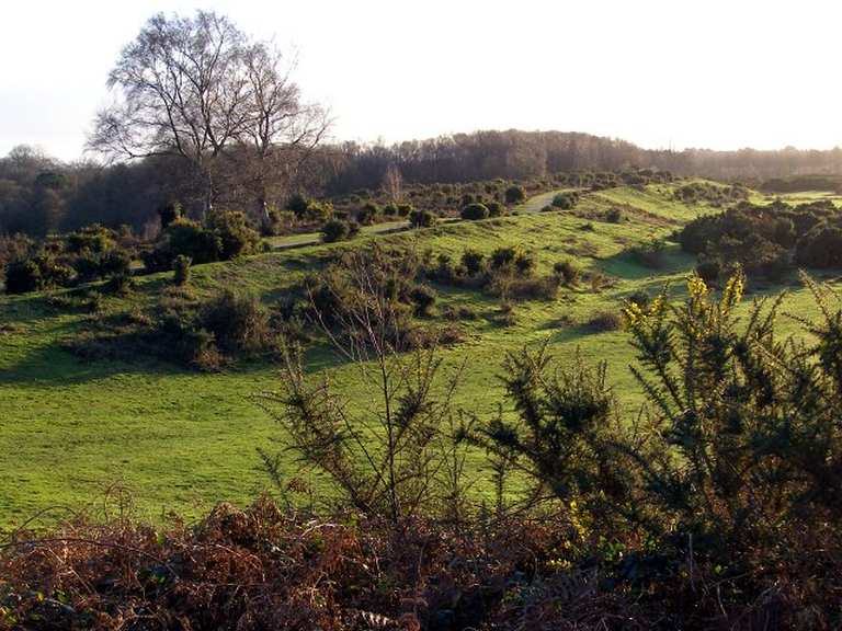 The Huff Duff — New Forest National Park | hike | Komoot