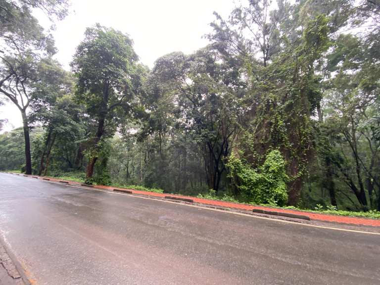 Nairobi Arboretum - Kenya, undefined | Course à pied - Incontournable ...