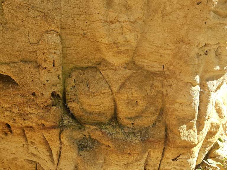 Formacja skalna z piaskowca w Heidbergu – trasy rowerowe i mapa | Komoot