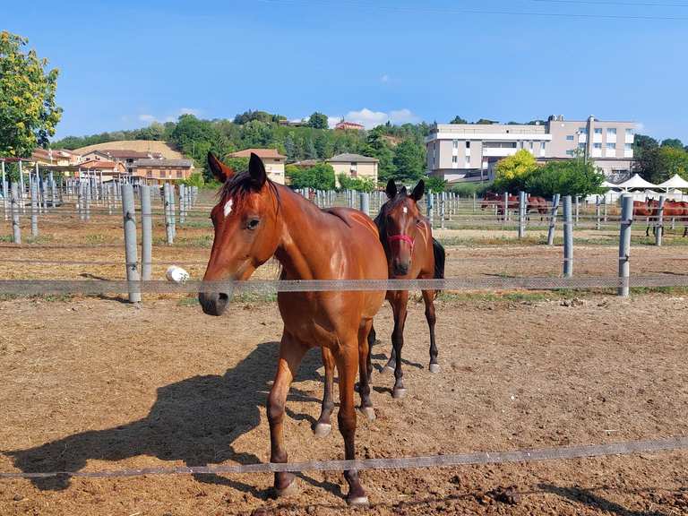 Hippodrome de Montegiorgio - Itinéraires vélo et carte | Komoot