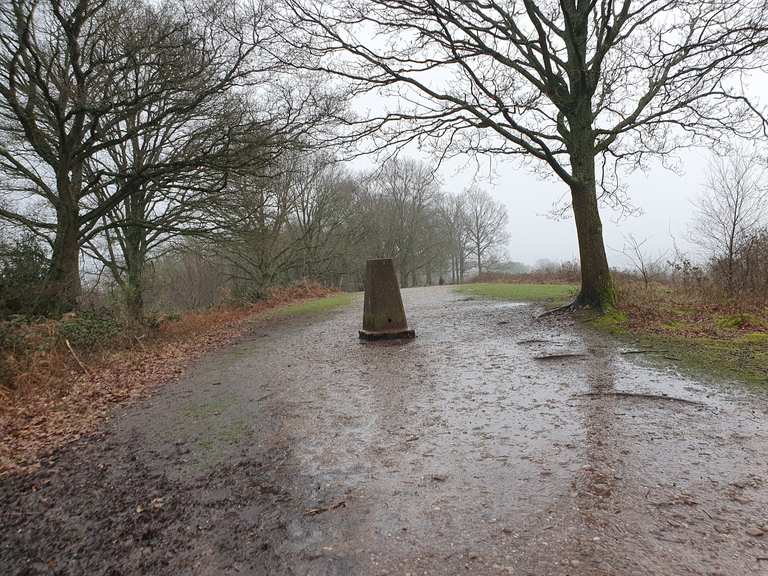 Kinver Edge Routes for Walking and Hiking | Komoot