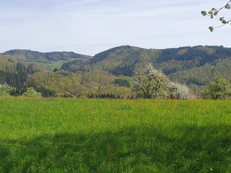 Ausblick in Endenburg: Rennradfahren und Rennradtouren | komoot