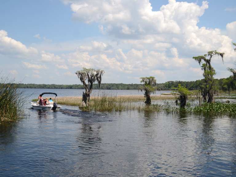 Hog Pen Landing to Ocean Pond Campground via Florida National Scenic ...