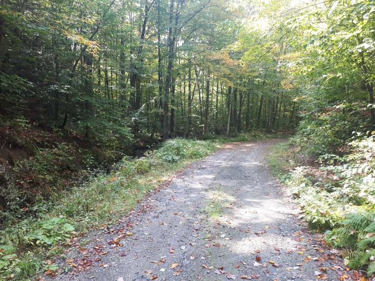 Kent Brook Trail loop — Gifford Woods State Park | Wanderung | Komoot