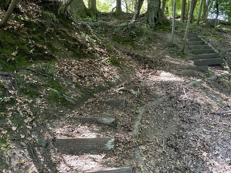 Ruches au passage du ruisseau d’Asselborn – Itinéraires vélo & Comment ...