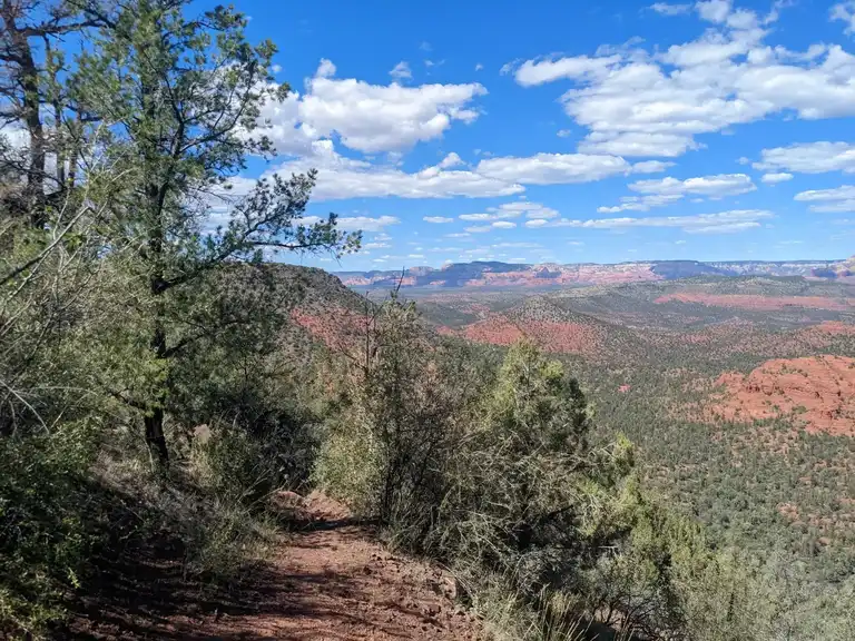 Turkey Creek Trail — Coconino National Forest | giro in MTB | komoot