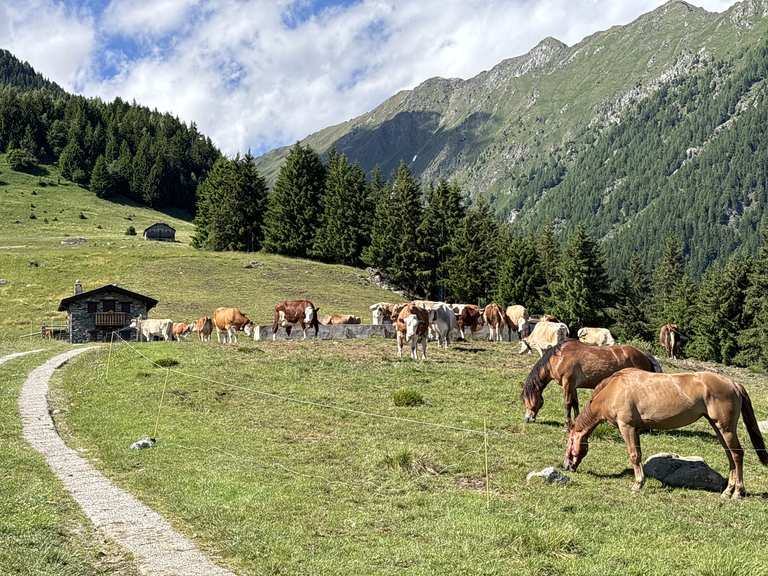 Salita da Gaggio di Polaggia a Prato Isio: percorsi ciclabili | Komoot