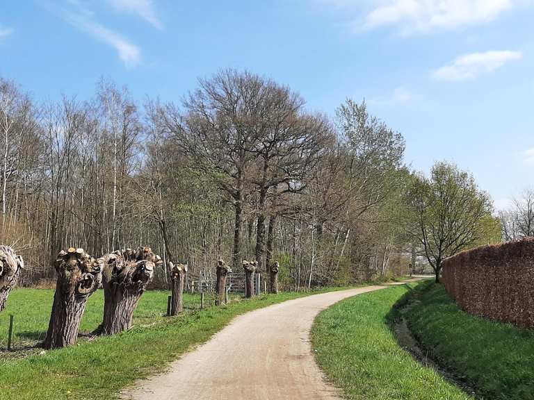 Cleydael Bridge – Cycling Routes & How to Get There | Komoot