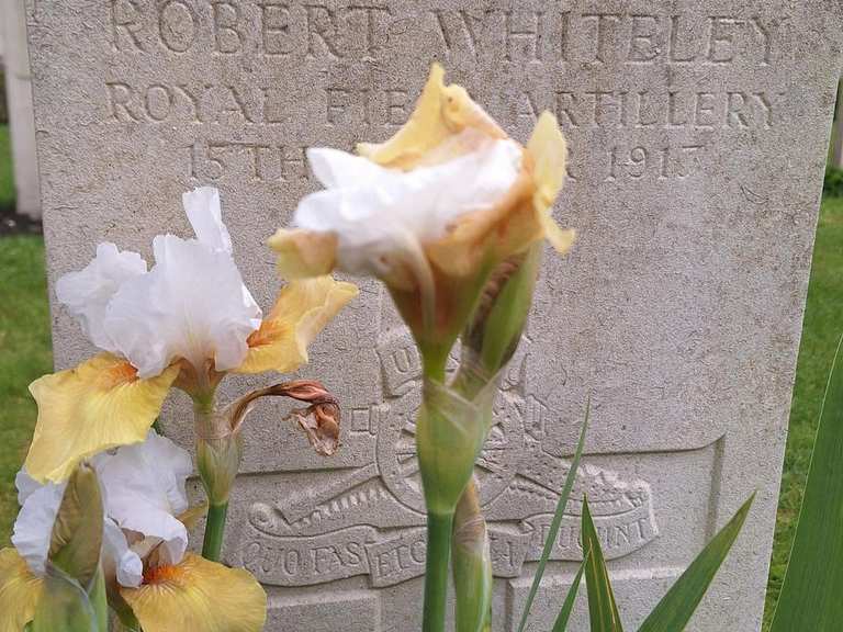 Cimetière militaire de Coxyde - Itinéraires de rando et marche | Komoot