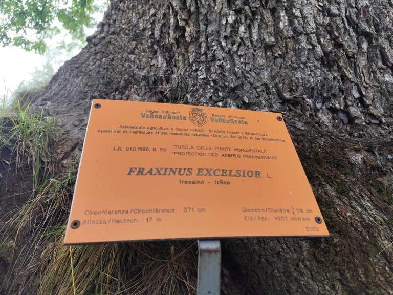 Da Fey a Col Fênetre (Percorsi 2A e 2) | escursione | komoot