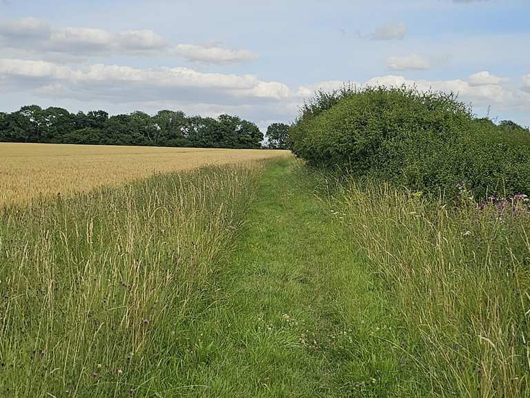 Nuthampstead Village and 398th Bombardment Group Memorial – Hikes & How ...