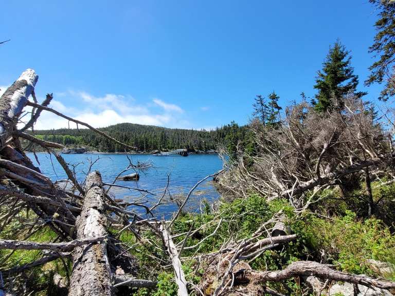Duck Harbor i Deep Cove Trail — Isle Au Haut — Acadia National Park ...