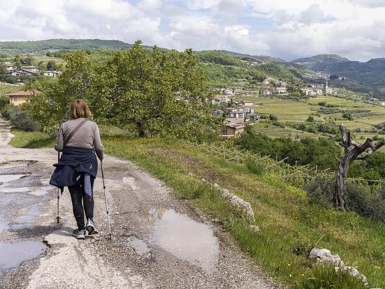 Sentiero del Vino della Valpolicella da Pedemonte a Torbe (via Percorso ...