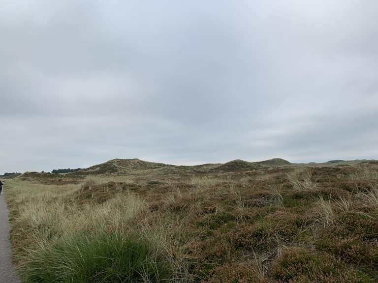 Thatched houses & Danish heath - Cycle Routes and Map | Komoot