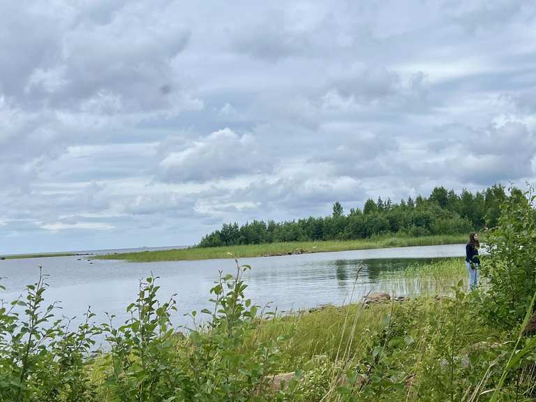 Botnische Golf wandelroutes en hikes | Komoot