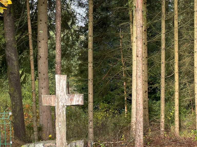 Wooden Cross in Tree Stump – Hikes & How to Get There | Komoot