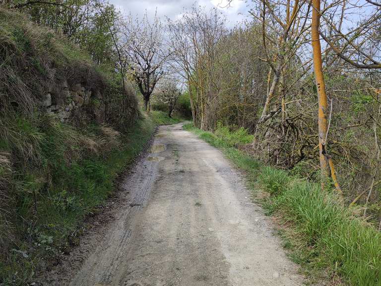 Strada Bianca di San Pancrazio – Percorsi in bici e come arrivarci | Komoot