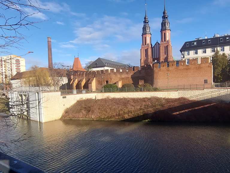 Kathedrale von Oppeln: Wanderungen und Rundwege | komoot
