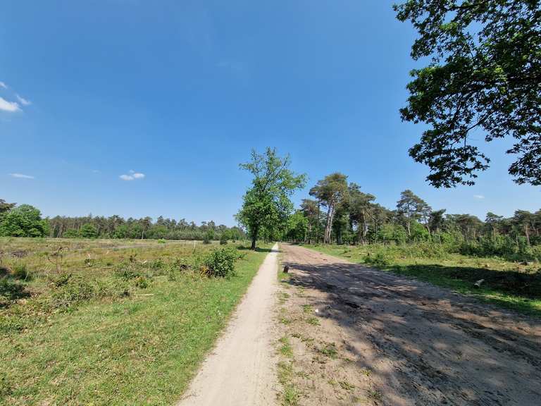 Zwillbrocker Venn – Idyllisch pad rondtocht vanuit Neede | fietstocht ...