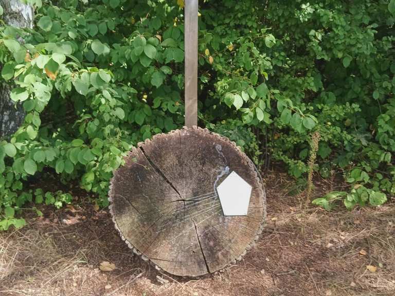 Educational Tree Slice Display Routes for Walking and Hiking | Komoot