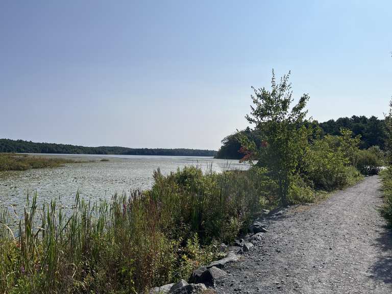 Ponkapoag Pond loop — Blue Hills Reservation | Wanderung | Komoot