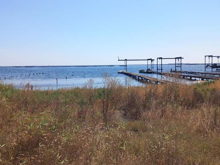 MTB Rundkurs Marseillan Plage - Sete - Meze -Marseillan 🇫🇷 ...