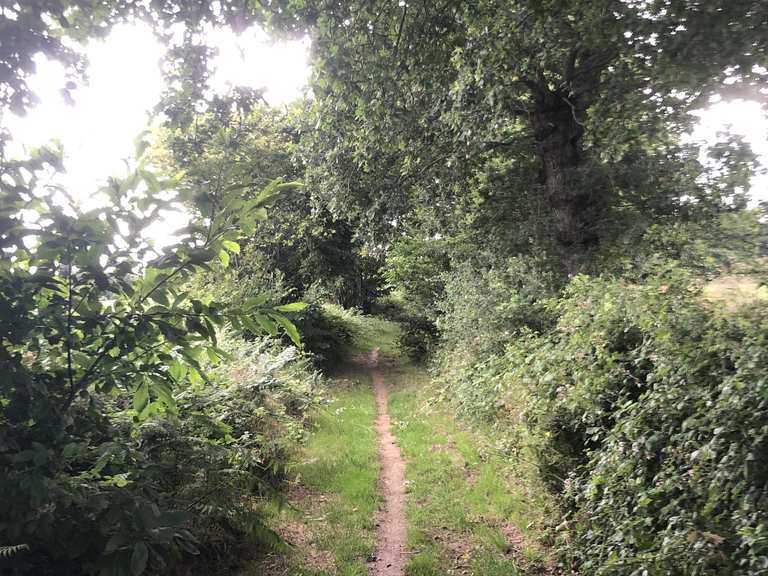 Undulating rolling path Cycle Routes and Map | Komoot