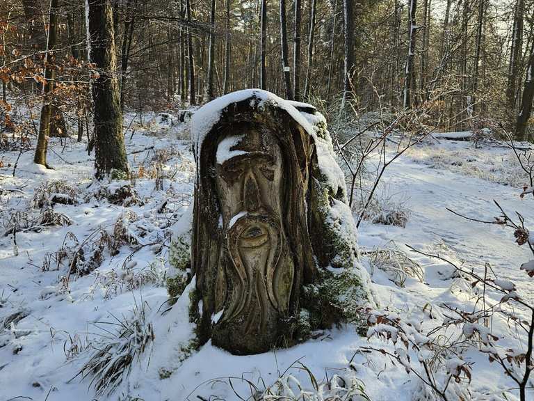 Waldschrat: Wanderungen und Rundwege | komoot