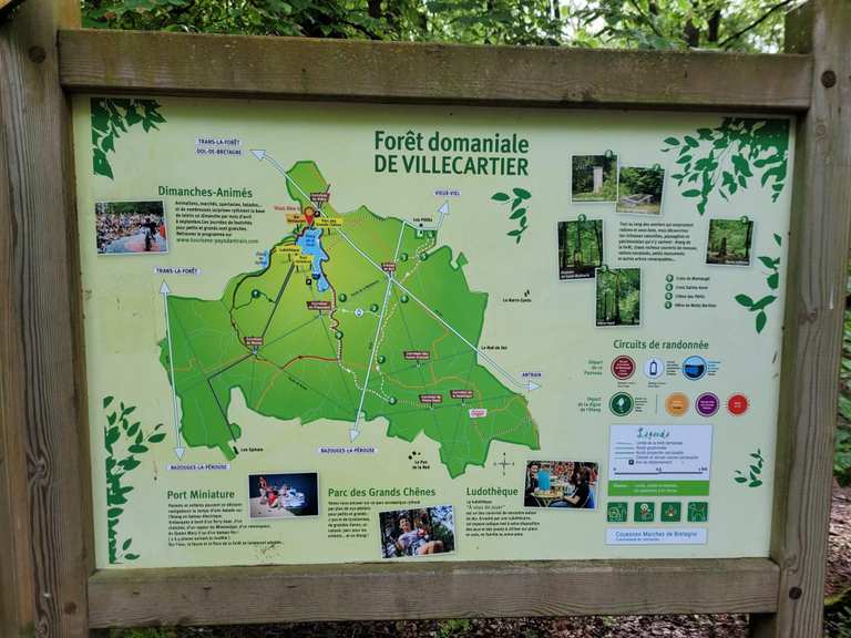 Forêt domaniale de Villecartier 🅿️ - Itinéraires de rando et marche ...