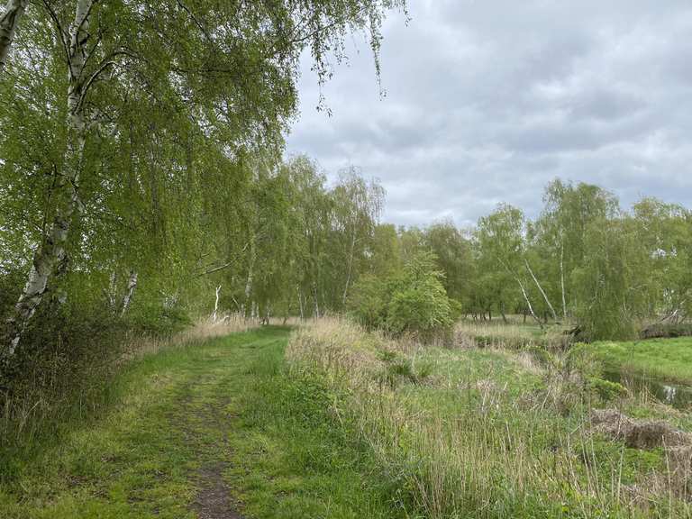 Schöner Weg auf dem Deich zwischen Welzin und Usedom: Wanderungen und ...