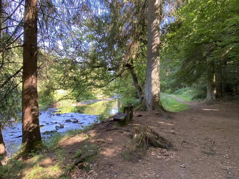 O1 Wildemanspad - Harz gebergte | mountainbikeroute | Komoot