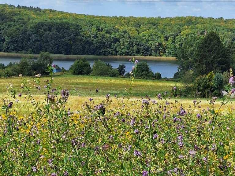 Krückenberg Observation Tower Road Cycle Routes and Map | Komoot
