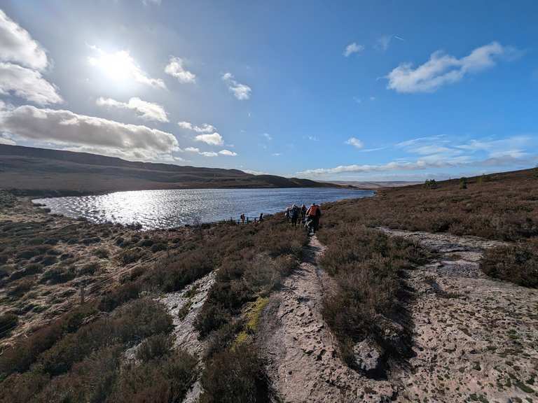 Harbottle Lake: Wanderungen und Rundwege | komoot