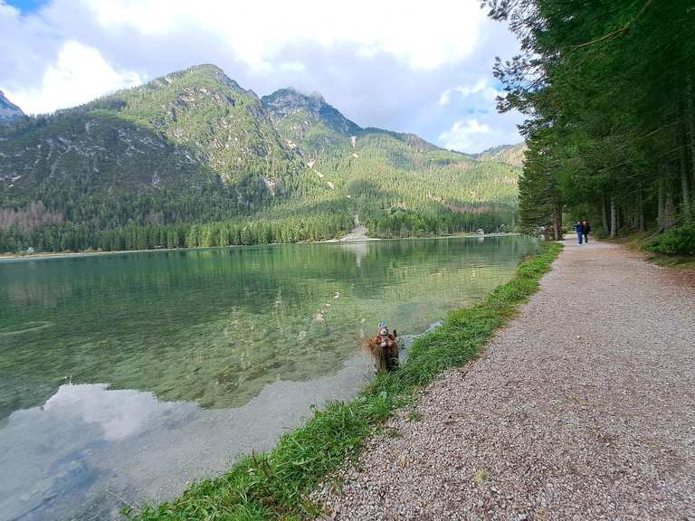 Sentier en boucle du lac de Dobbiaco (Sentier AVS 14) | randonnée ...
