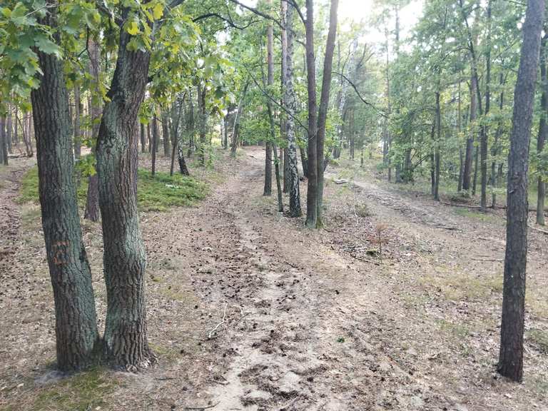 Technische Abfahrt und Auffahrt (zwei Varianten): Mountainbike-Touren ...