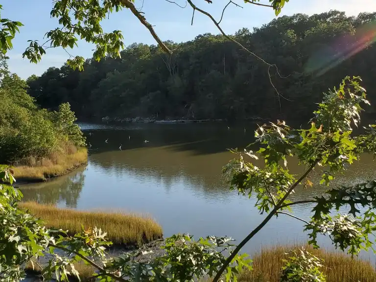Westwoods loop trail run — Cockaponset State Forest | run | Komoot