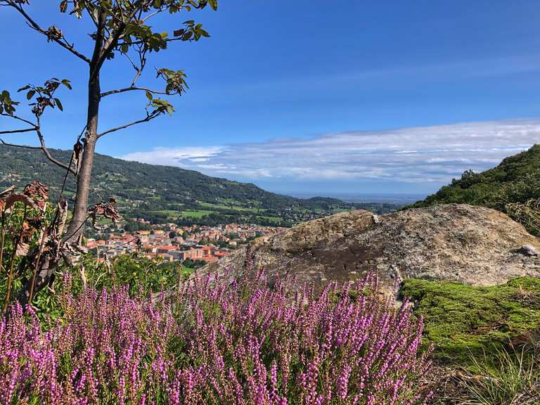 Torre Pellice to Rocca Bera viewpoint (via CAI trail 106) | hike | Komoot