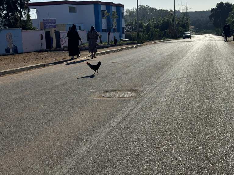 Sidi Taibi - Kenitra P4266: Rennradfahren und Rennradtouren | komoot