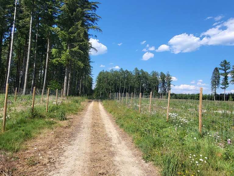 Heinstert - aux portes de la forêt d'Anlier — boucle depuis Heinstert ...