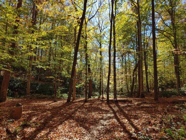 Kings Mountain National Recreation Trail & Poplar Point Trail Kreuzung ...