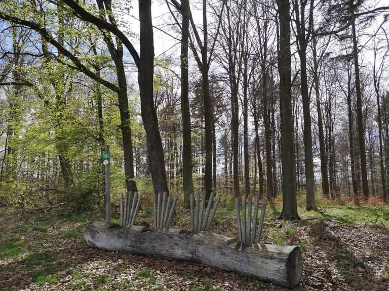 Aussichtspunkt Struth: Wanderungen und Rundwege | komoot