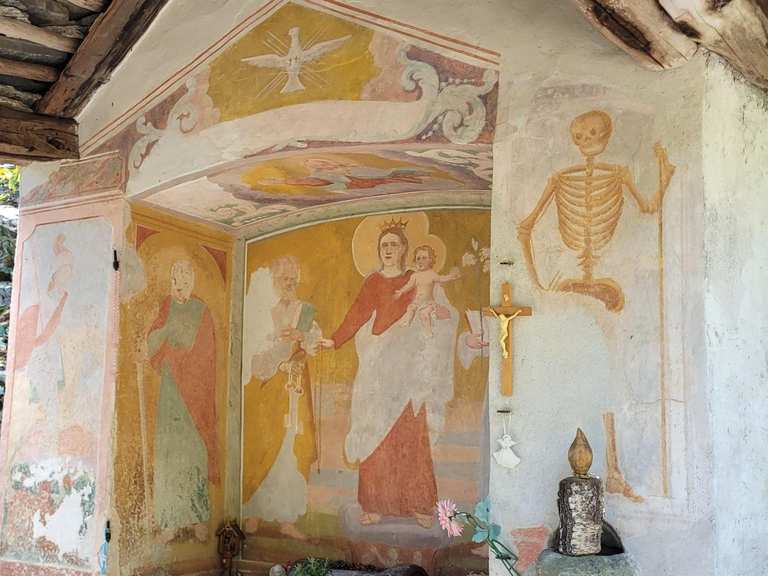 Réserve naturelle Bosco di Maia - Itinéraires vélo et carte | Komoot