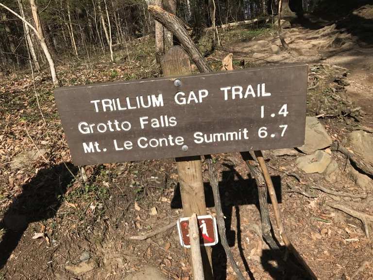 Trillium Gap Trailhead to Grotto Falls — Great Smoky Mountains National ...