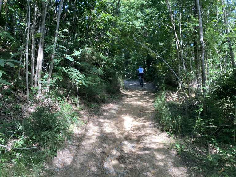 Cerreto - Poggio Tresserre - Macchino Route: Mountainbike-Touren | komoot