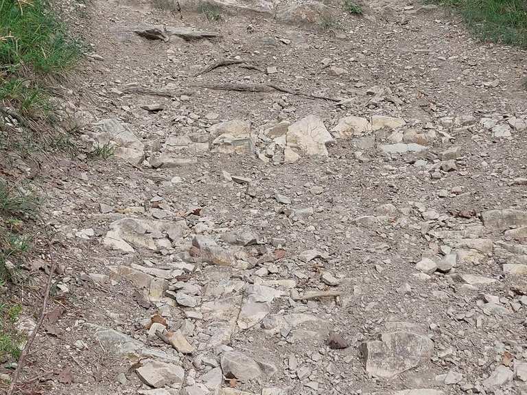 Salita al Monte Aldone: Mountainbike-Touren | komoot
