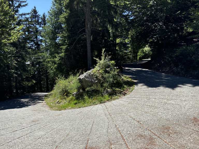 Salita da Gaggio di Polaggia a Prato Isio: percorsi ciclabili | Komoot