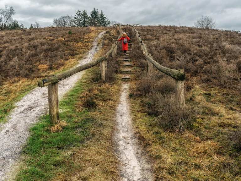 Uitkijkpunt heidegebied achter Heerderstrand: Wanderungen und Rundwege ...
